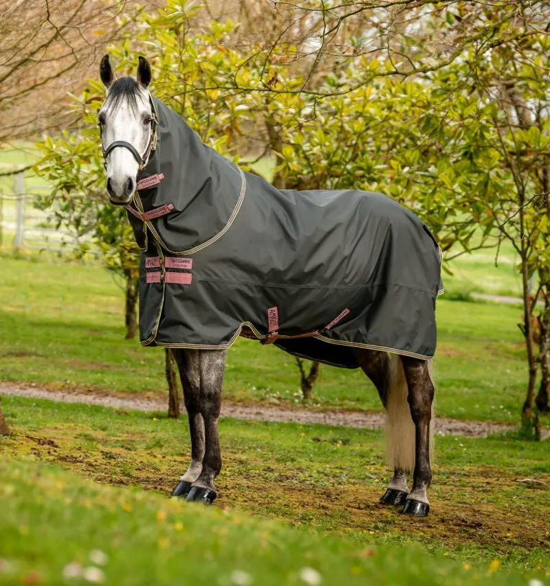 Horse Rugs Turnout Rugs | Colne Saddlery