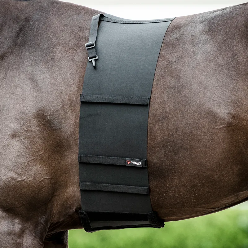 Catago Body/Spur Shield