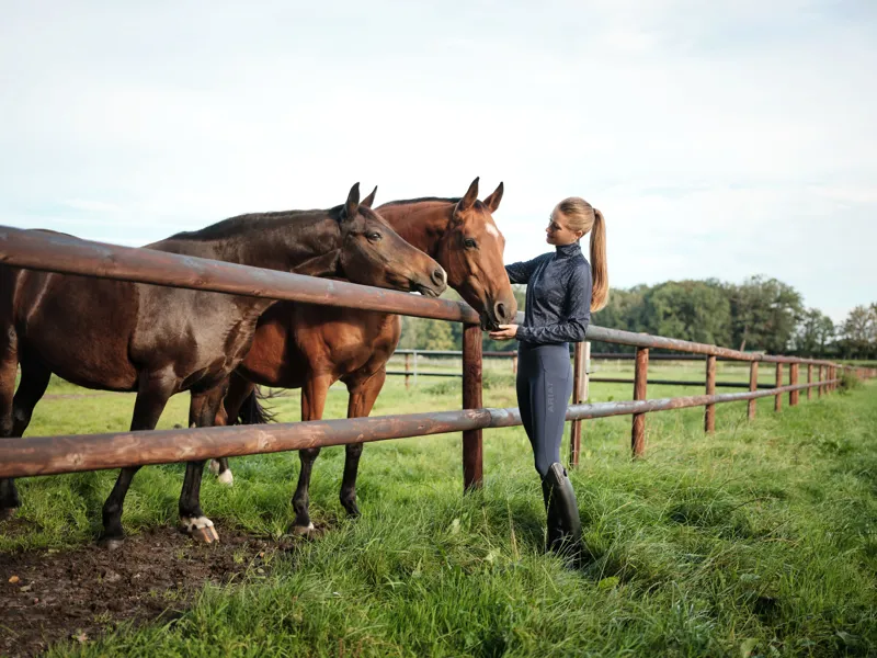 Colne Saddlery | Colne Saddlery | The Cotswolds